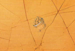 Appalachian Footpath Box Map Clues - Mysterious Writings