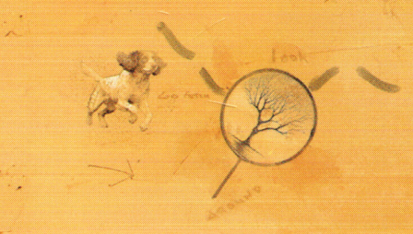 Appalachian Footpath Box Map Clues - Mysterious Writings