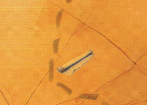 Appalachian Footpath Box Map Clues - Mysterious Writings