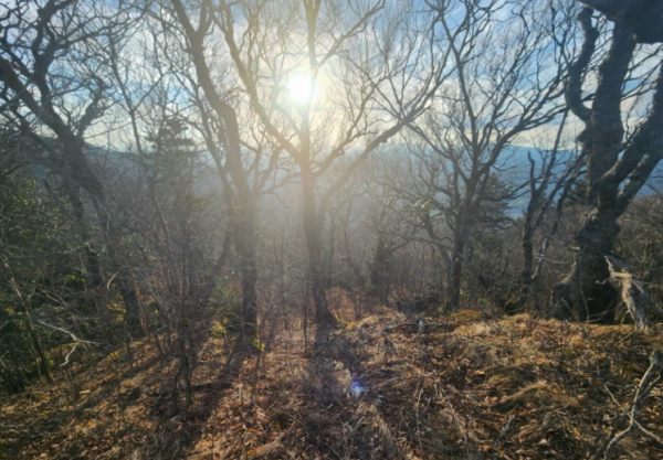 TTI Treasure Story #3: Search for the Appalachian Footpath Box with ...